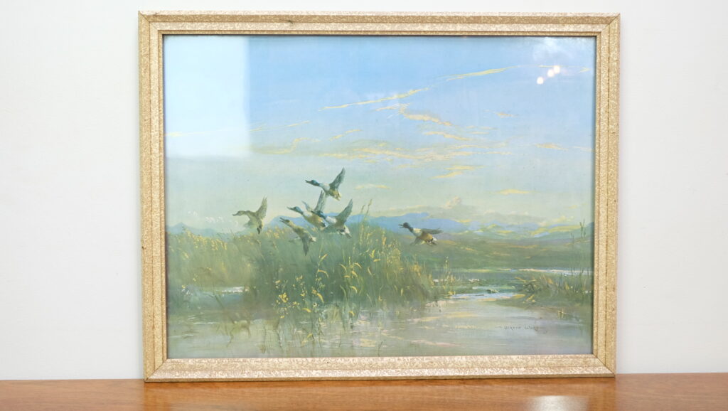 Vernon Ward - Ducks - Function In Form