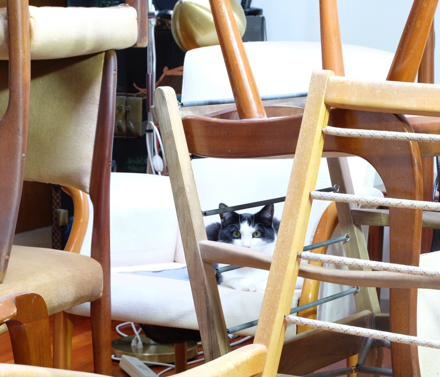 FiF & 54 FiveSix - Our Chairs - Function In Form